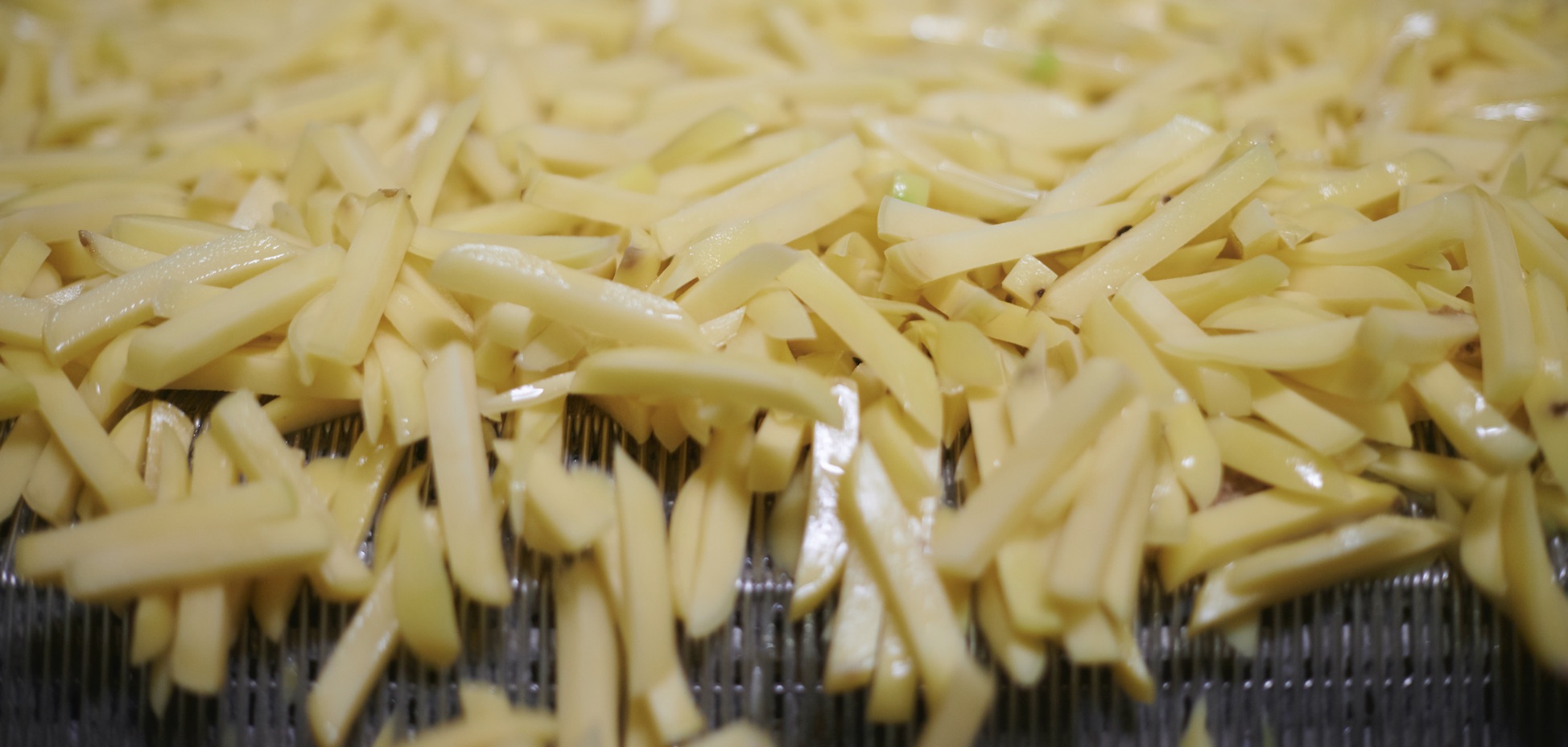 Agristo to Build Potato Processing Plant at Closed Tereos Factory Site ...